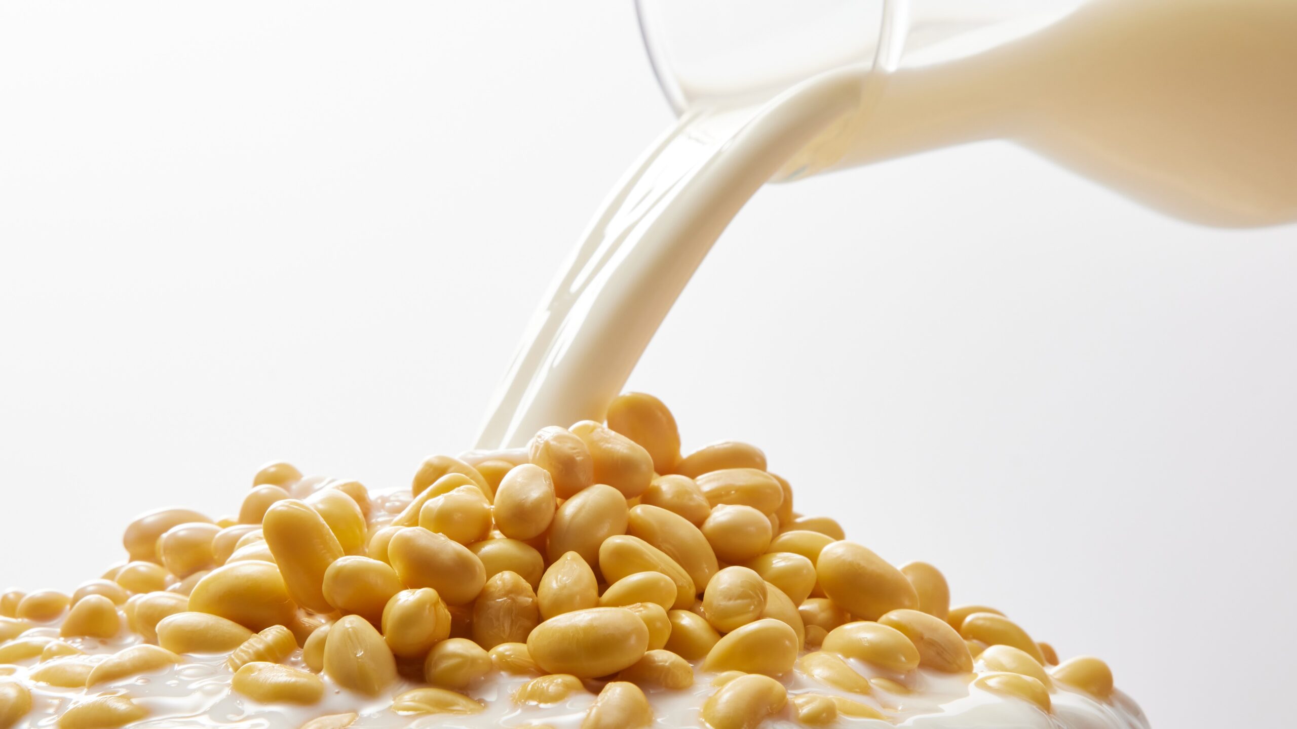 Soybean Classification for Soy Food Processing – Soymachines